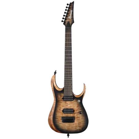 Ibanez RGD Axion Label RGA71AL 7-String Electric Guitar, 24 Frets, 5 ...
