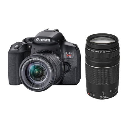 Canon EOS Rebel T8i DSLR Camera with EF-S 18-55mm and EF 75-300mm f/4-5 ...