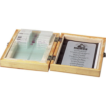 Konus Botany Prepared Slide Set: Fungi, Lichens & Briophyta, 15 Slides