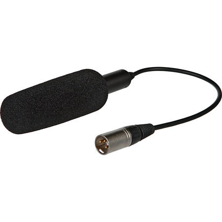 Panasonic AGMC200G Super-Directional Phantom Mic AGMC200G - Adorama