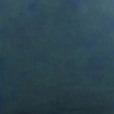 Savage Alpine Canvas Backdrop, 8x12' CP504-0812 - Adorama