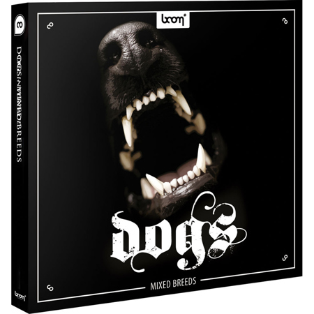 Sound Ideas Dogs Sound Effects Library Bundle on DVD, 2 DVDs SS-DOGS-BUN