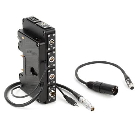 Wooden Camera D-Box for Canon C300mkII Cameras, Gold Mount 215700