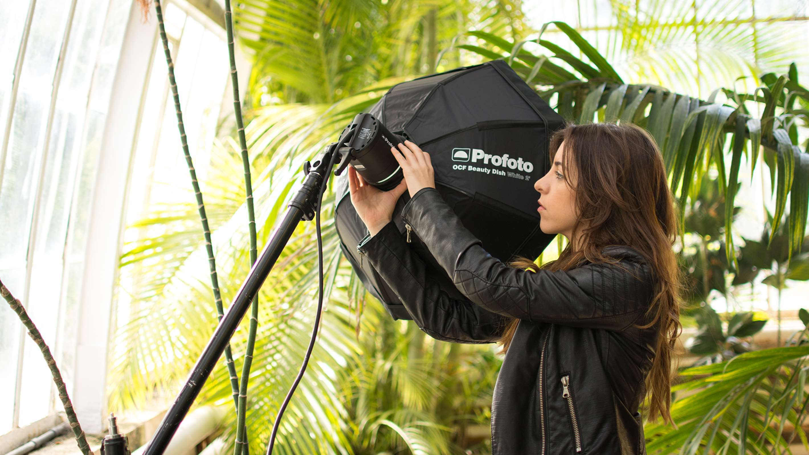 Profoto B2 250 AirTTL Power Pack Location Kit with Air Remote TTL-C for ...