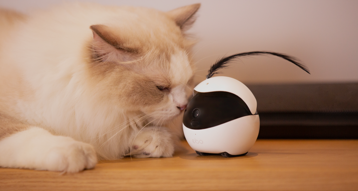 Enabot Ebo Catpal The Smart Robot Companion Cat Sitter EB00000001