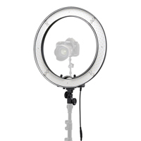 Continuous Lighting - Buy at Adorama