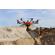 AirWise H520E RTK US Cyber Secure Drone H520ERTKUSC - Adorama