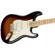 Fender Player Stratocaster Electric Guitar, Maple Fingerboard, 3-Color ...