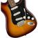 Fender Player Stratocaster Plus Top Electric Guitar, Pau Ferro ...