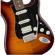 Fender Player Stratocaster HSS Plus Top Electric Guitar, Pau Ferro ...