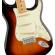 Fender Player Plus Stratocaster Electric Guitar, 3-Color Sunburst ...
