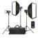 Flashpoint XPLOR 600 R2 HSS TTL All-In-One Outdoor Flash (3-Light Kit ...