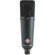 Neumann TLM 193 Cardioid Microphone with K89 Capsule, Includes SG1 and ...