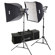 Interfit Stellar X Twin Softbox Kit, 2 600W Monolights - Adorama