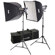 Interfit Photographic INT461 Stellar XD Twin Softbox Kit, with Two 600 ...