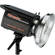 Photogenic PLR1250DRC 500ws PL2 Series Powerlight 919136 - Adorama