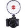 Rotolight NEO 2 LED Bundle RL-NEO2-BUNDLE - Adorama