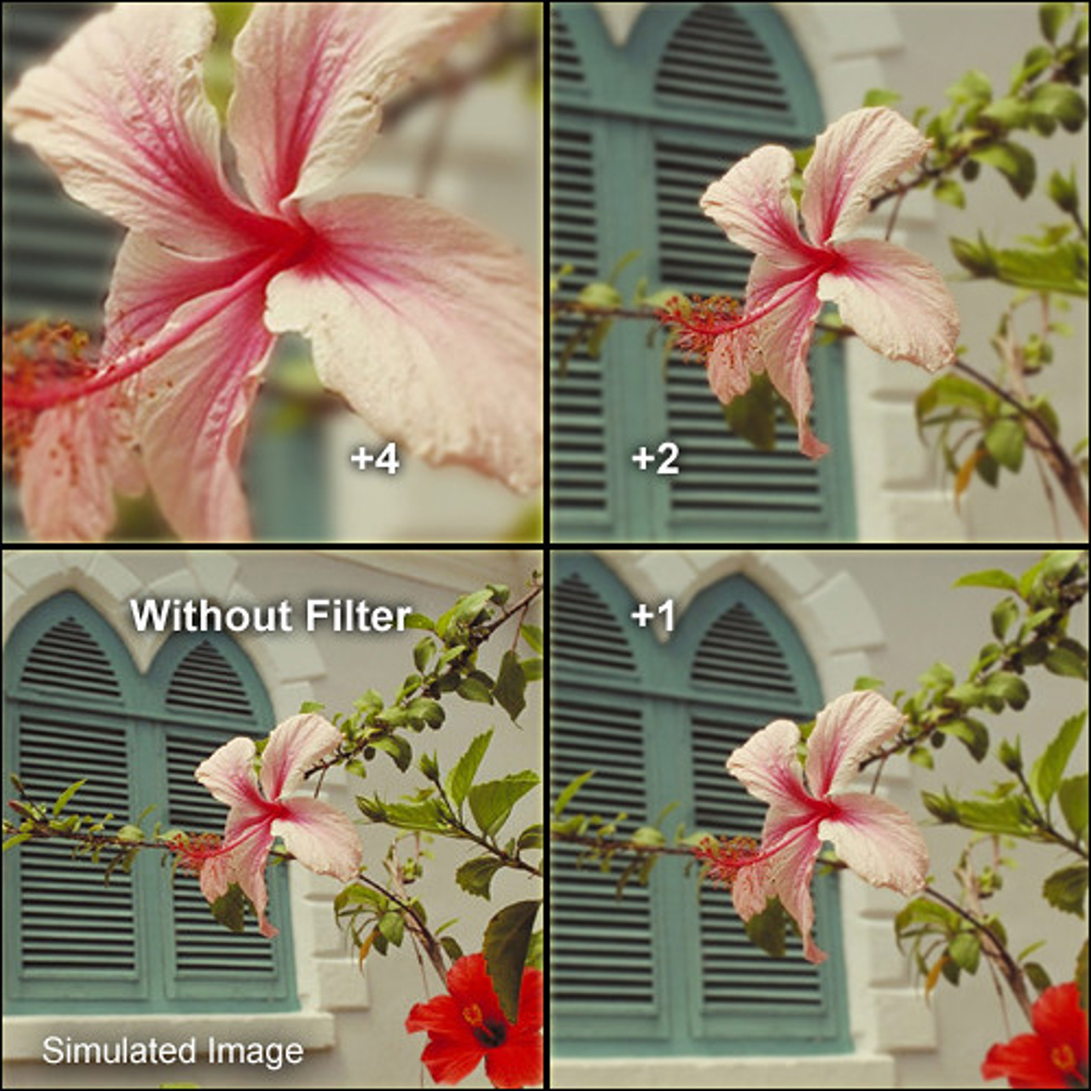 Hoya 67mm HMC Close-Up Filter Set II, Includes +1, +2 and +4 Diopter ...