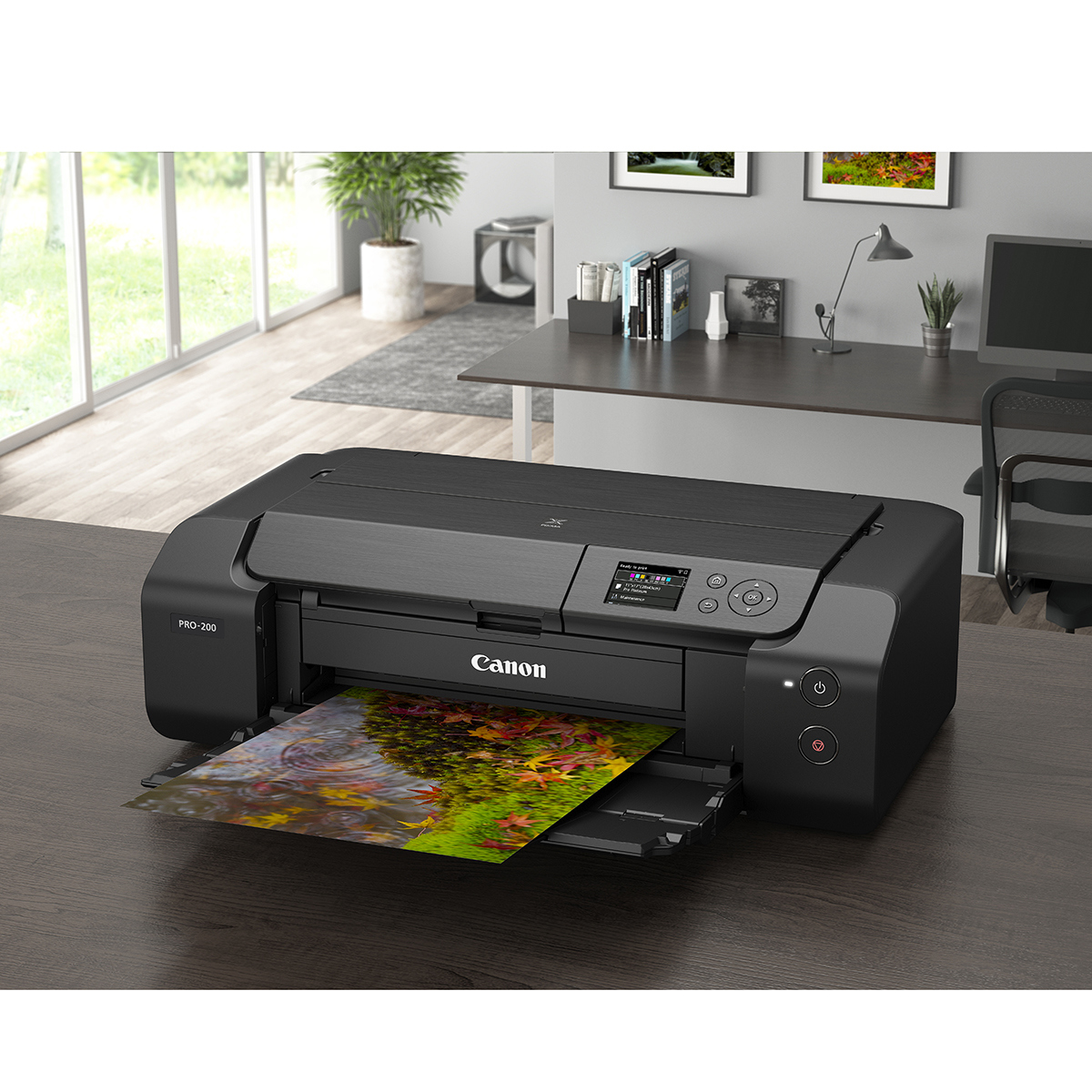 Canon PIXMA PRO-200 Printer for sale online | eBay
