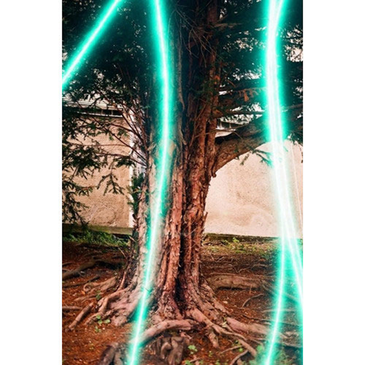 Revolog Lazer 35mm ISO 200 Color Film, 36 Exposure #900335 | eBay