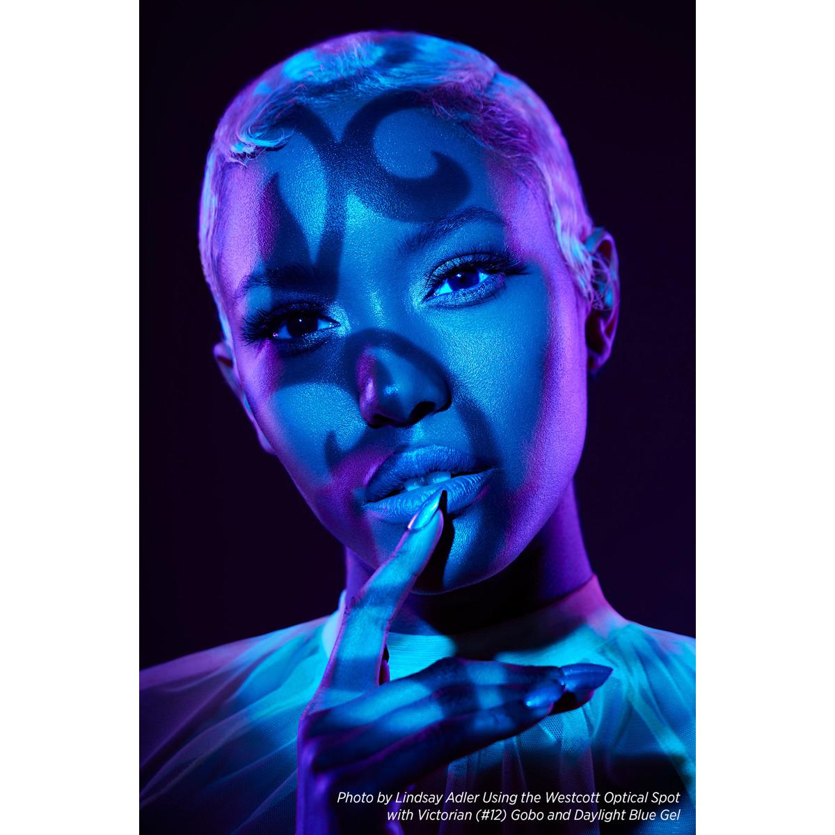 Westcott Patterns Gobo Pack for Optical Spot by Lindsay Adler, 10-Pack ...